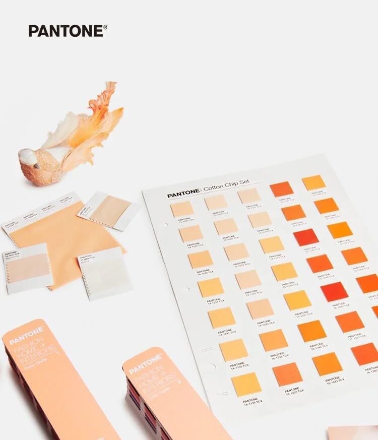 2024年度必染发色 TOP 7！Pantone 代表色「橘粉色」活力清新、仙女专属「薄藤粉紫」～